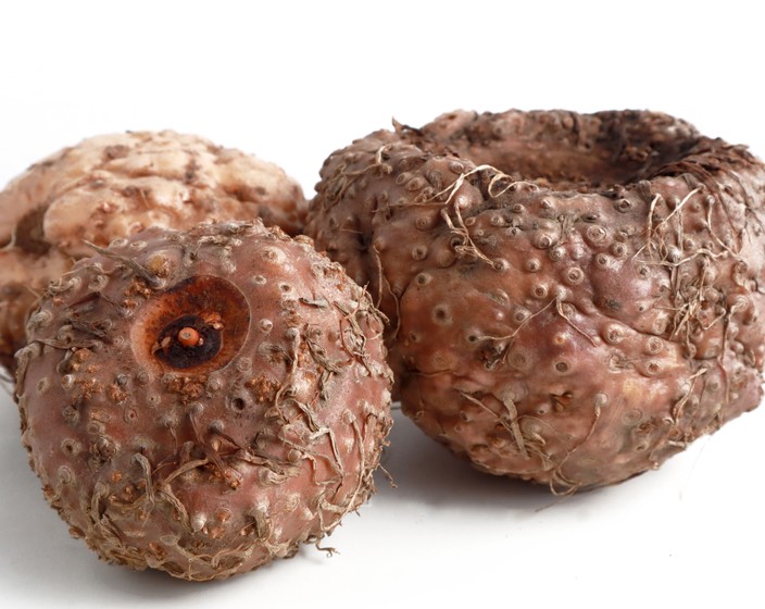 The 9-Calorie Noodle: Everything You Need to Know About No-Carb Konjac ...