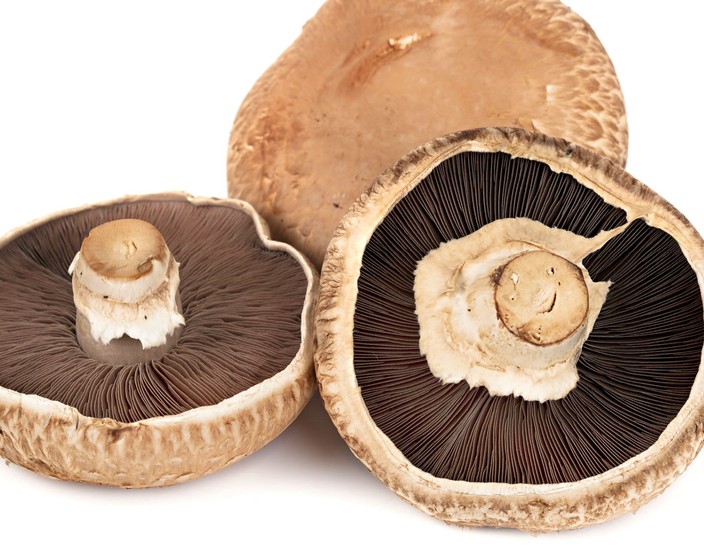14 Popular Types Of Mushrooms And What To Cook With Them - SideChef