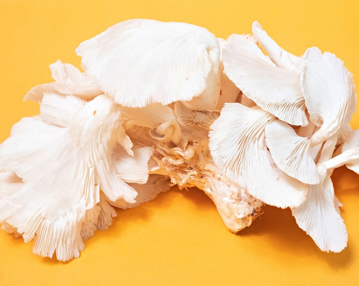 14 Popular Types Of Mushrooms And What To Cook With Them - SideChef
