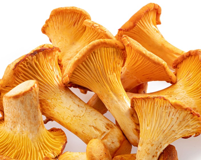 14 Popular Types Of Mushrooms And What To Cook With Them - SideChef