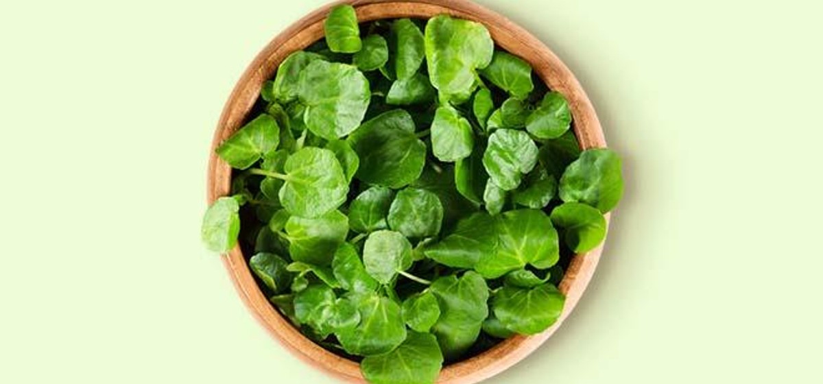 Watercress - SideChef