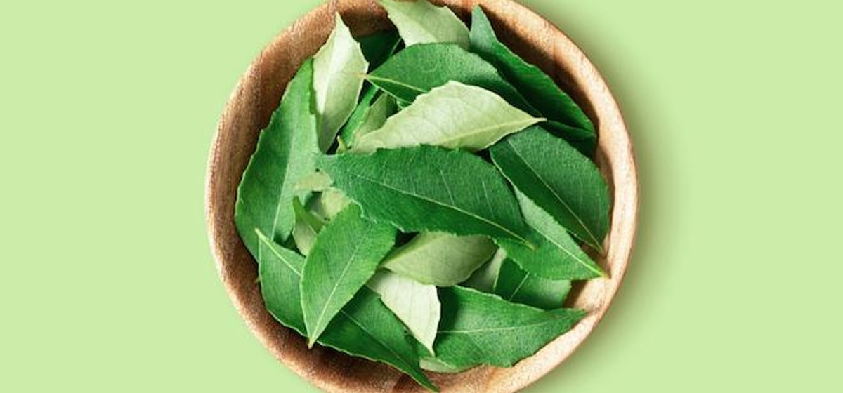 Curry Leaf - SideChef