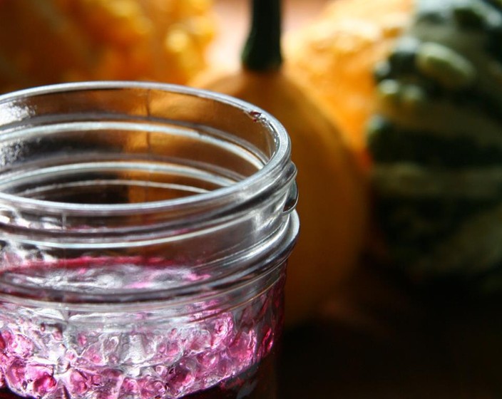 Wild Grape Jelly Recipe | SideChef