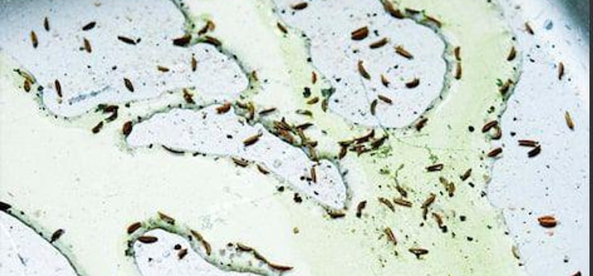 Jamie Oliver’s Crusted Cod Recipe | SideChef