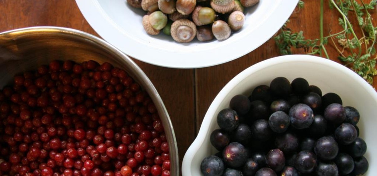 Wild Grape Jelly Recipe | SideChef