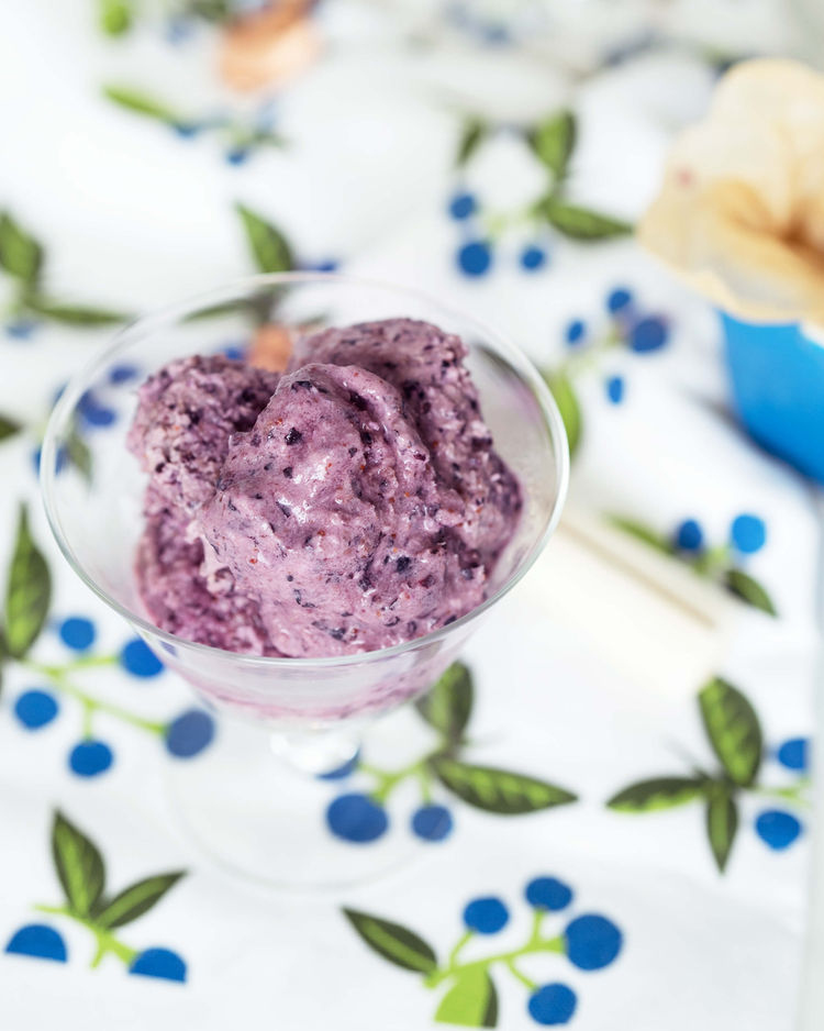 Homemade Blueberry Ice Cream Recipe | SideChef