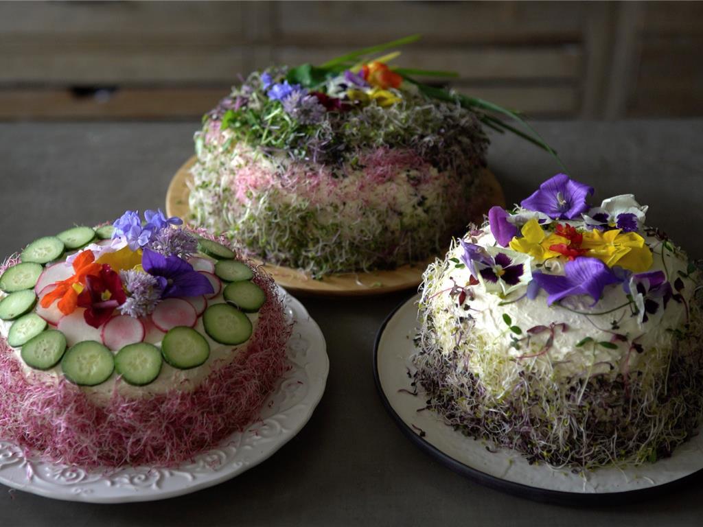 7-Layer Ham and Cheese Cake Recipe | SideChef