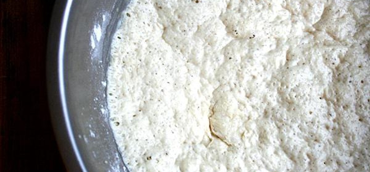 My Mother's Peasant Bread Recipe | SideChef