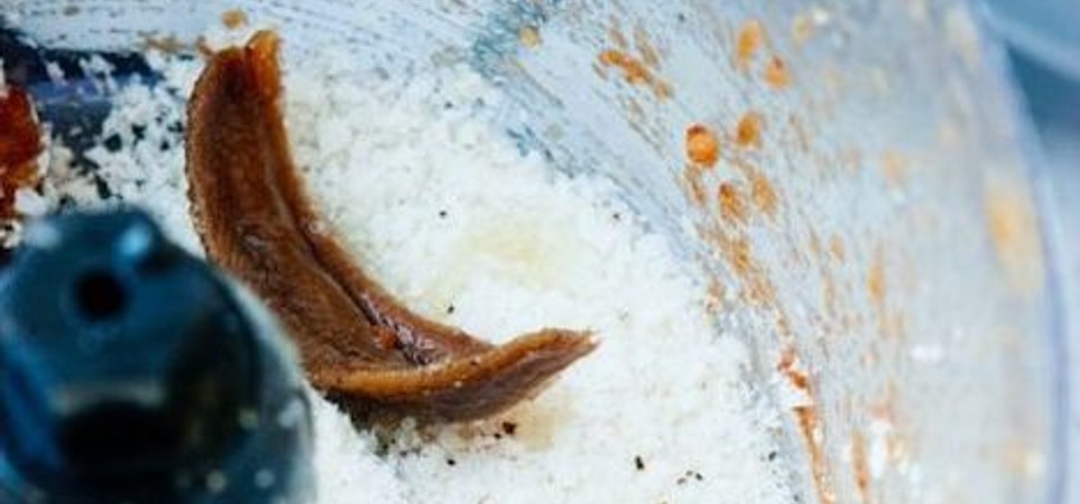 Jamie Oliver’s Crusted Cod Recipe | SideChef