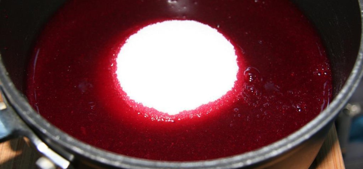 Wild Grape Jelly Recipe | SideChef