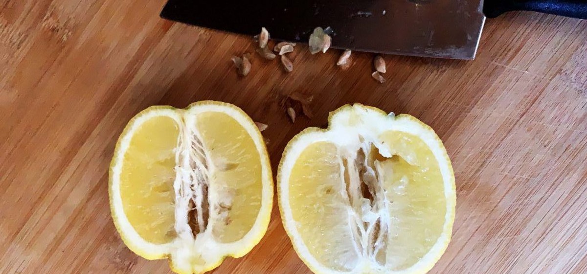 3-Ingredient Lemon Jam Recipe | SideChef