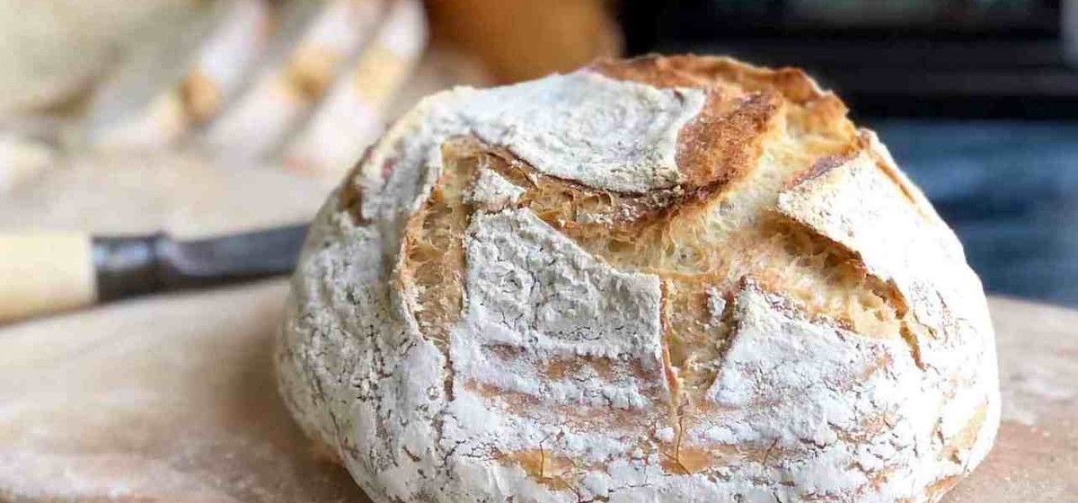 No Knead Artisan Bread Recipe Sidechef