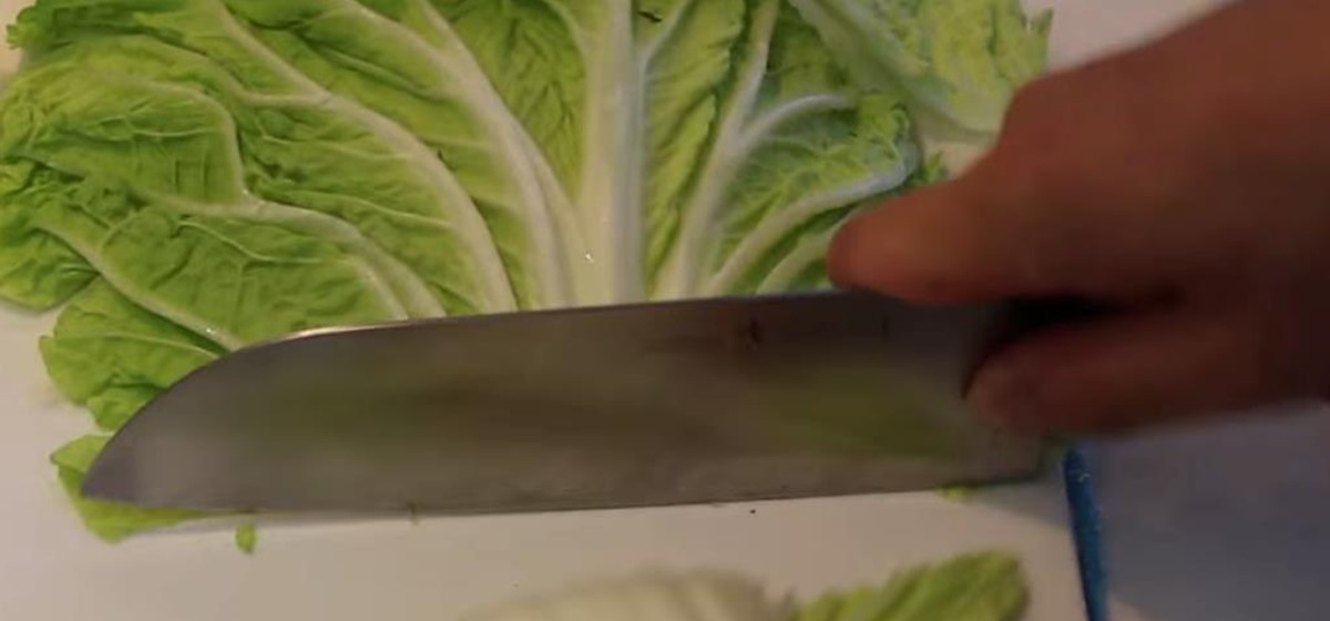 Fujianese Wonton Soup (Fujian Bian Rou) Recipe | SideChef