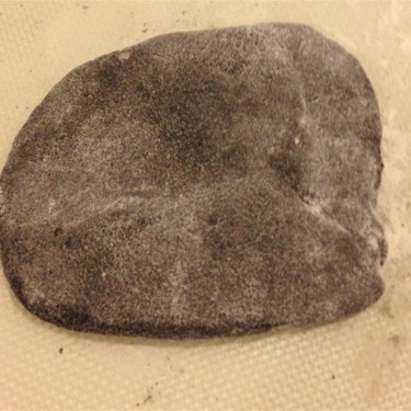 Cuttlefish Ink Pasta Recipe | SideChef