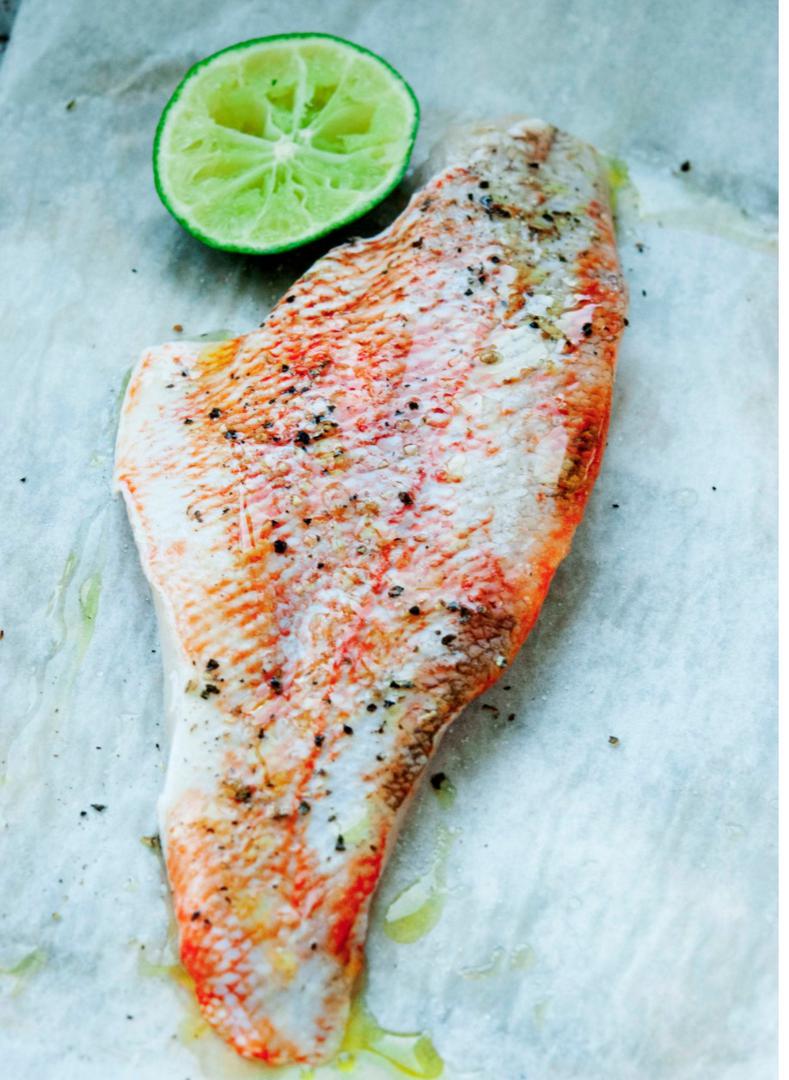 Grilled Red Snapper Fillet