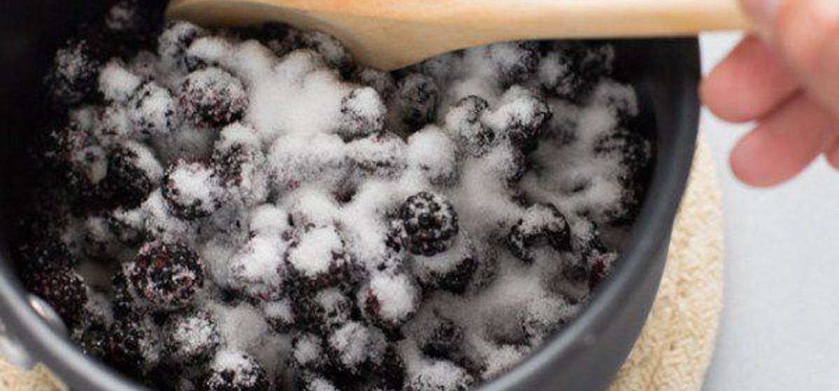 Black Raspberry Gelato Recipe | SideChef