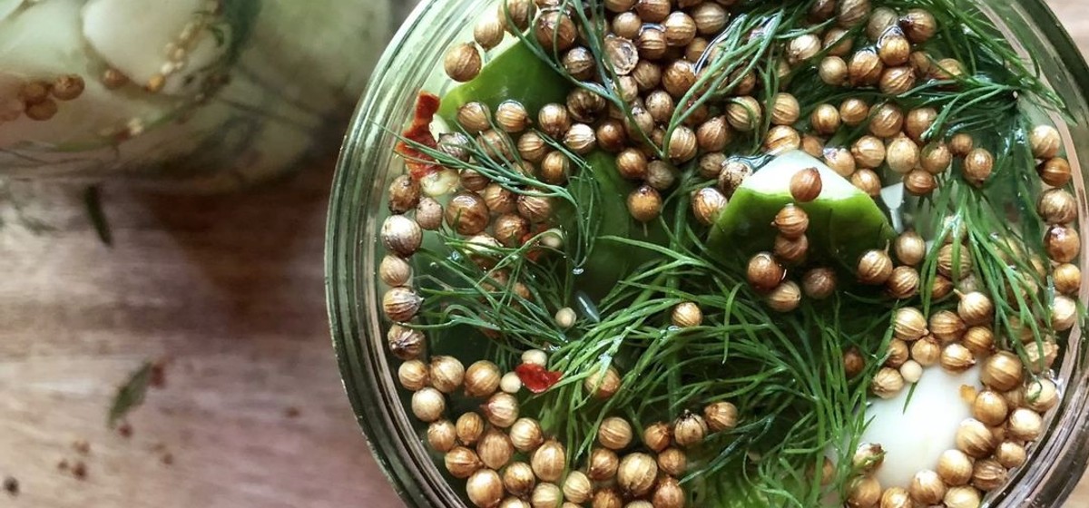 Homemade Refrigerator Dill Pickles Recipe | SideChef