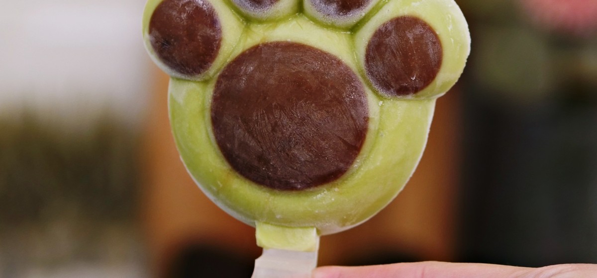 Avocado Yogurt Popsicle Recipe | SideChef
