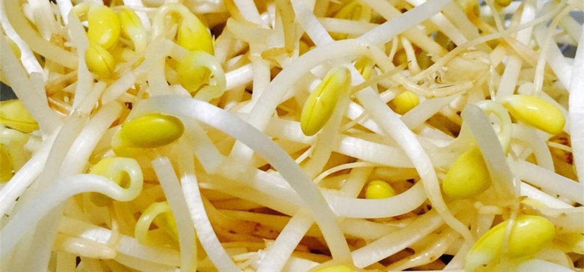 Korean-Style Mung Bean Sprouts (Sukju Namul) Recipe | SideChef