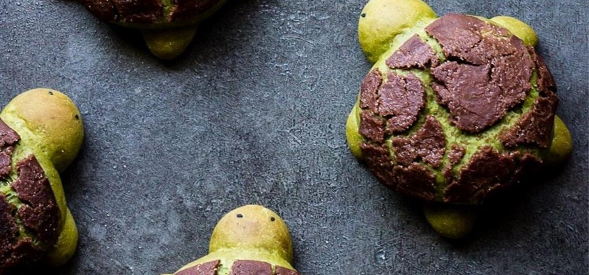 Matcha Milk Bread Turtles Recipe | SideChef